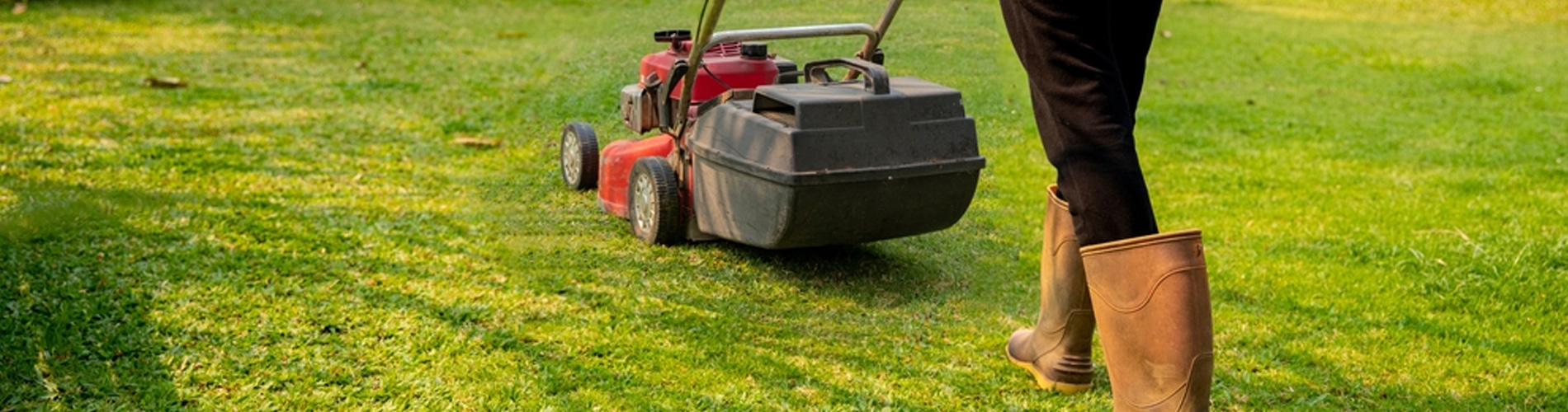Lawn Aeration Yonkers, NY - Spring Lawn Aeration