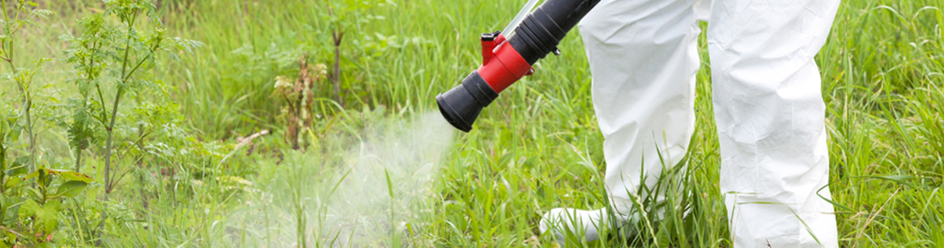Lawn Disease Treatment - Best Lawn Disease Treatment