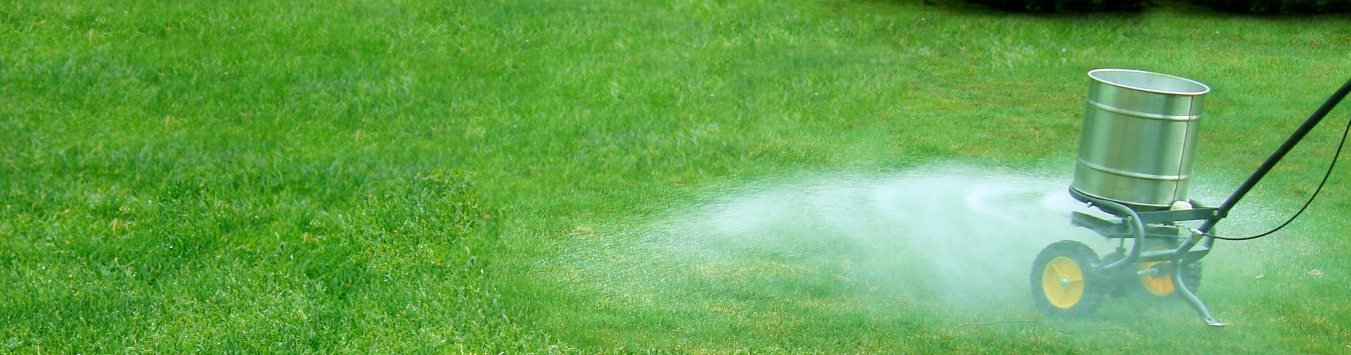 Lawn Fertilization - Professional Lawn Fertilization