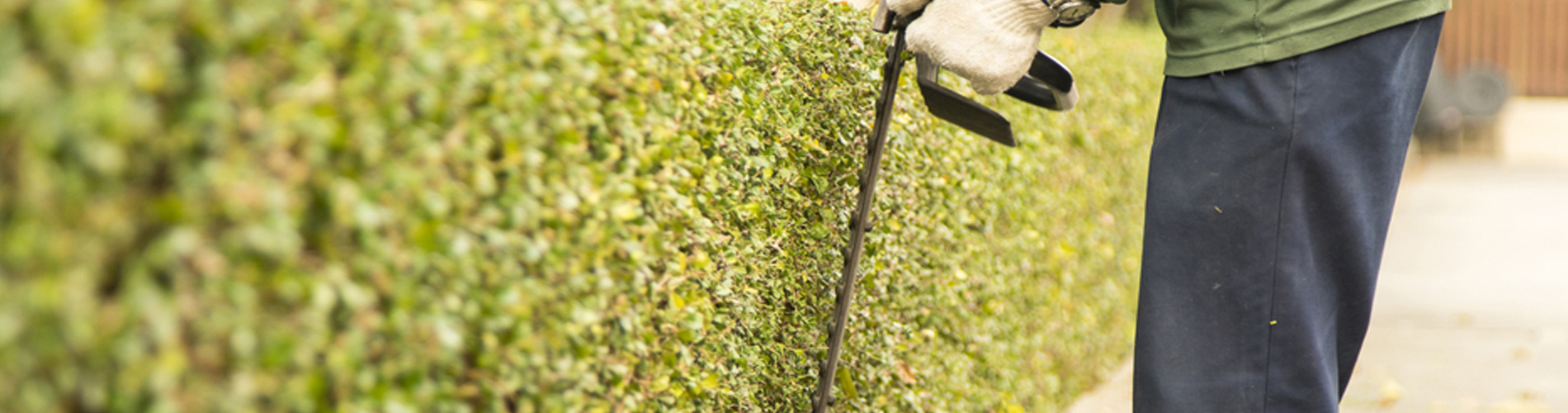 Lawn Maintenance - Commercial Lawn Maintenance